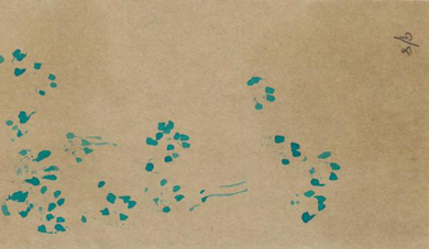 How to monitor using tracking tunnels: Predator Free 2050 (PF2050)