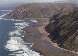 Te Angiangi Marine Reserve operational plan: Marine protected areas