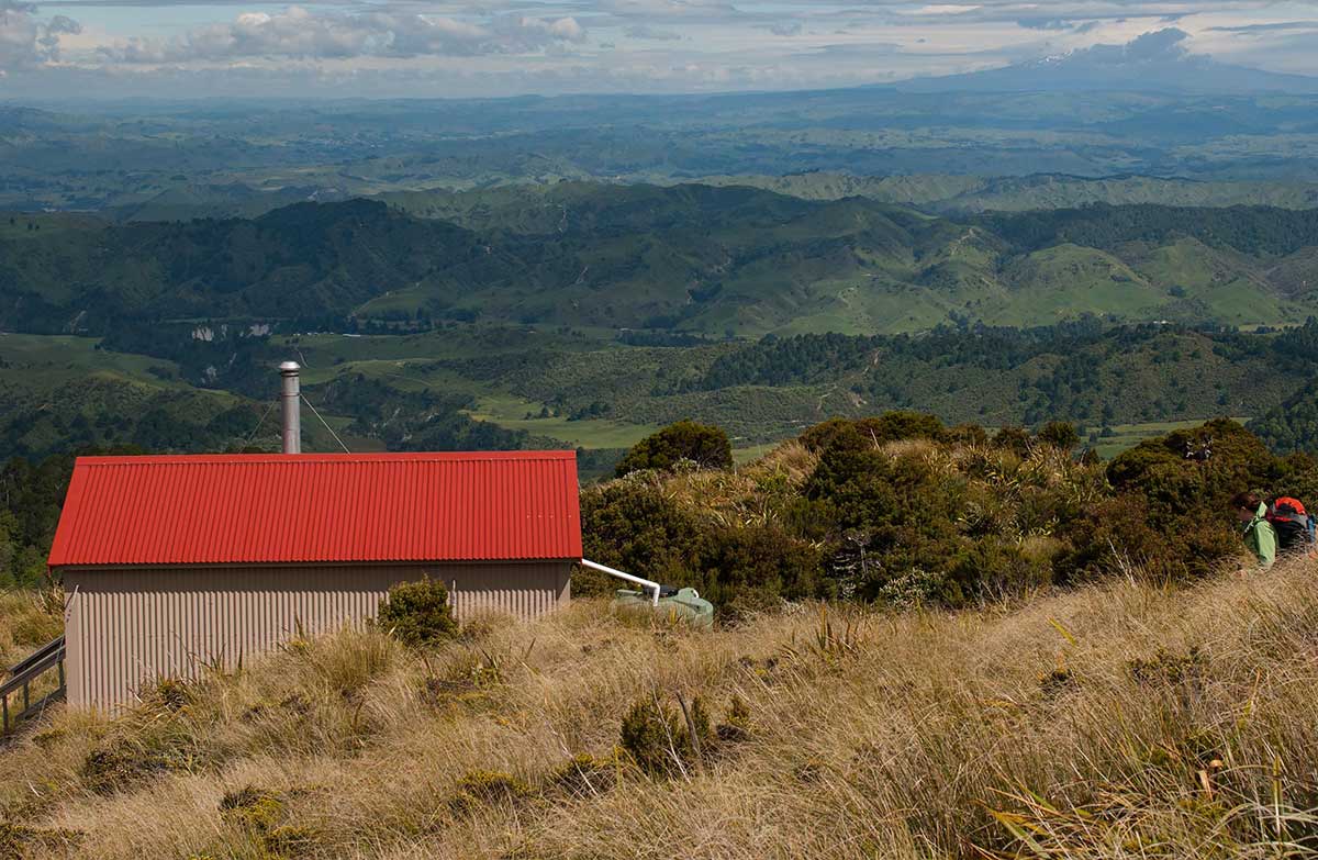 Purity Hut: Ruahine Forest Park, Manawatu region