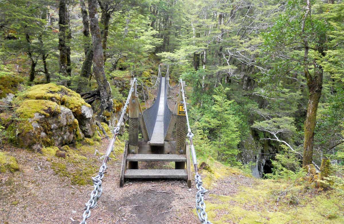 Lucretia Hut Route: Walking and tramping in Lake Sumner Forest Park ...