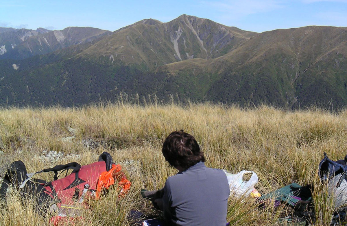 Kawhatau Base: Ruahine Forest Park: Manawatu/Whanganui