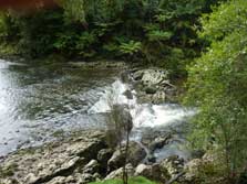 Waitōtara Conservation Area: Places to go in Manawatu/Whanganui