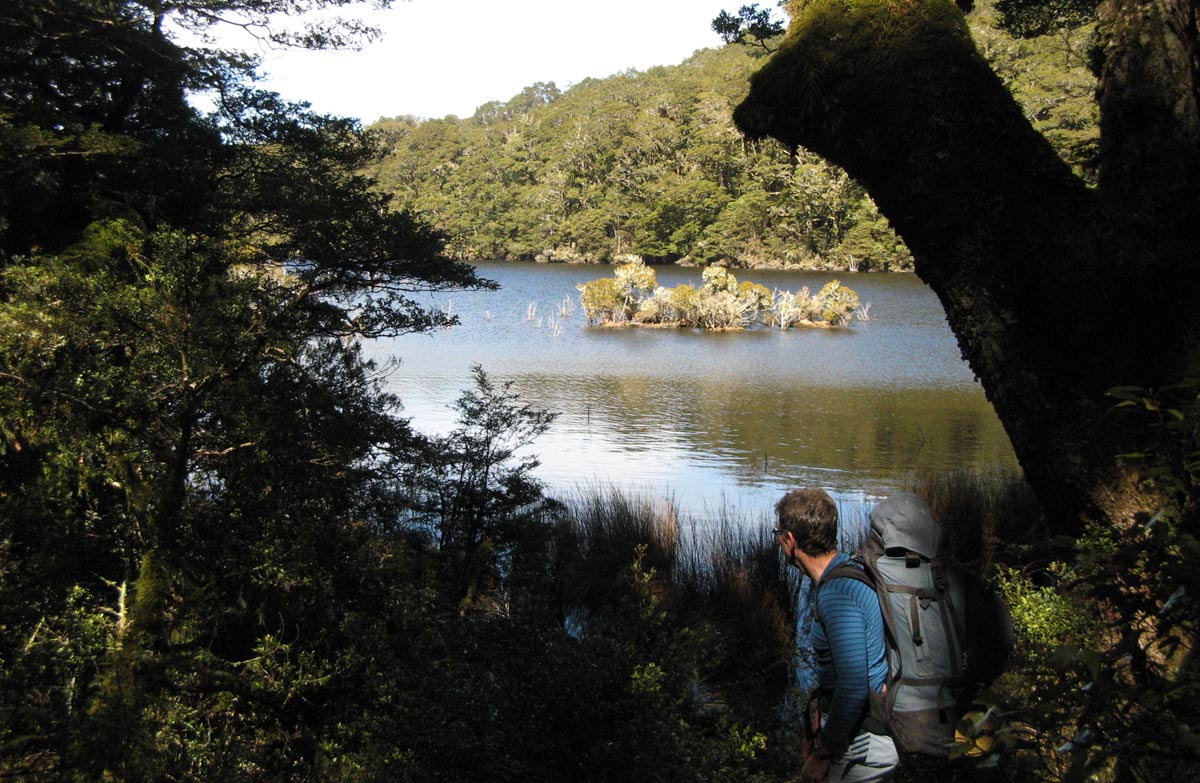 Manuoha to Waikareiti Track: Te Urewera, East Coast region