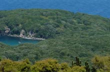 Tuhua (Mayor Island) walks: Tuhua (Mayor Island), Bay of Plenty