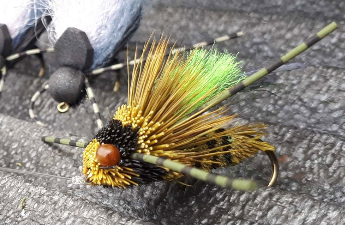 How to fish around Lake Taupō: Taupō Trout Fishery