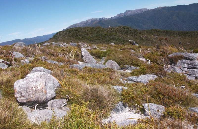 Decision on mining application at Mt Te Kuha: Issues 16 June 2018