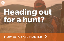 Hunting know before you go: Hunting