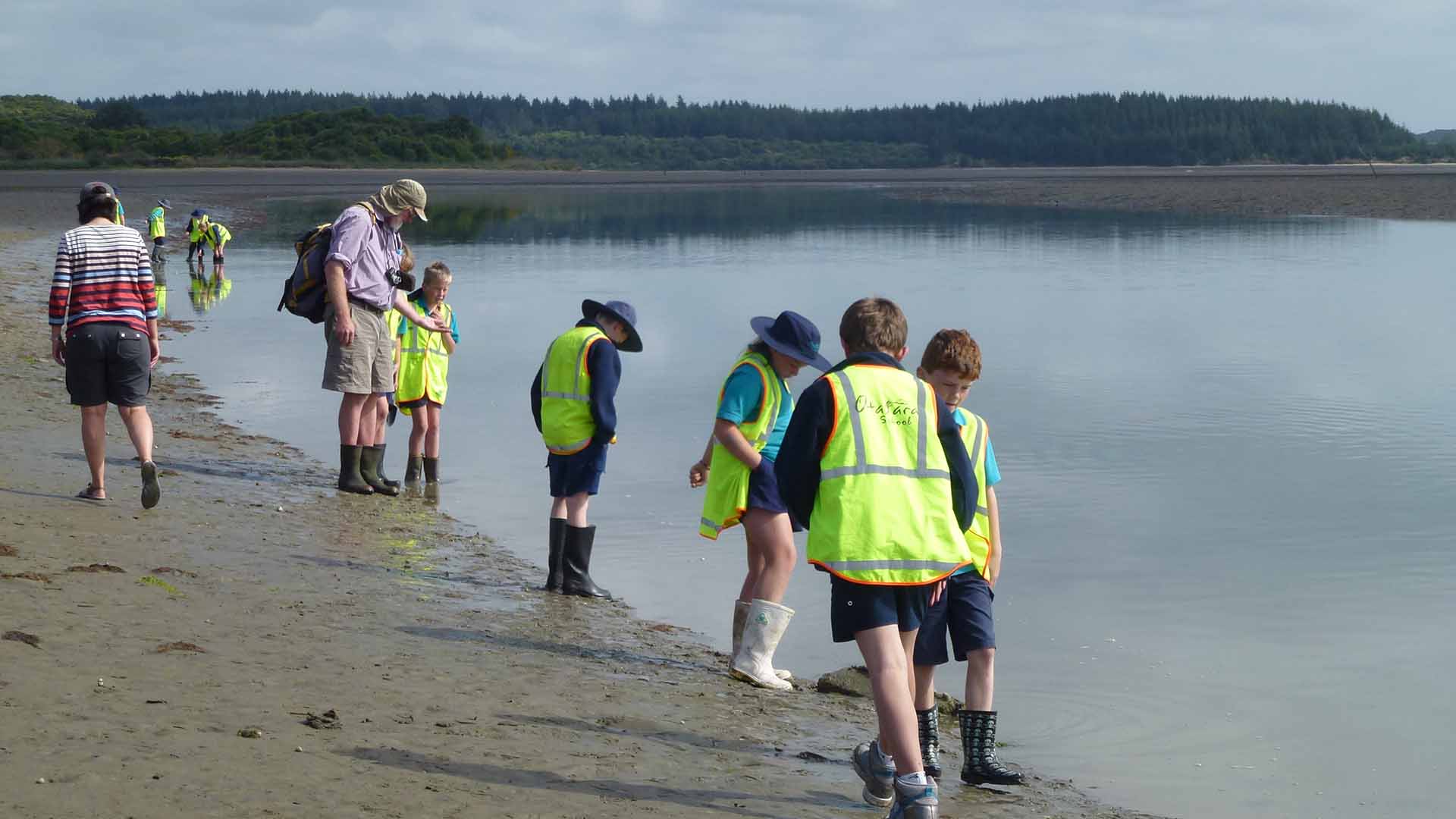 Protecting our estuaries: Education resources