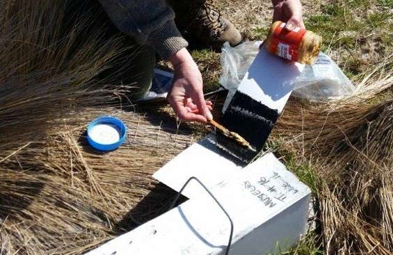 How to monitor using tracking tunnels: Predator Free 2050 (PF2050)