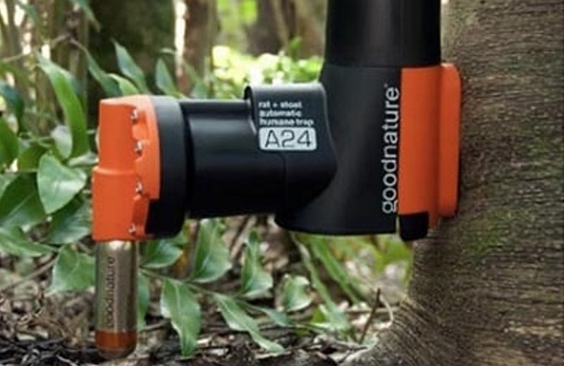 Choose traps and toxins: Predator Free 2050 (PF2050)