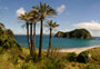 Moturua Island Scenic Reserve: Northland historic conservation