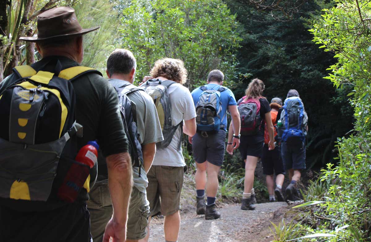 Land-based guided activities: Running your business or activity