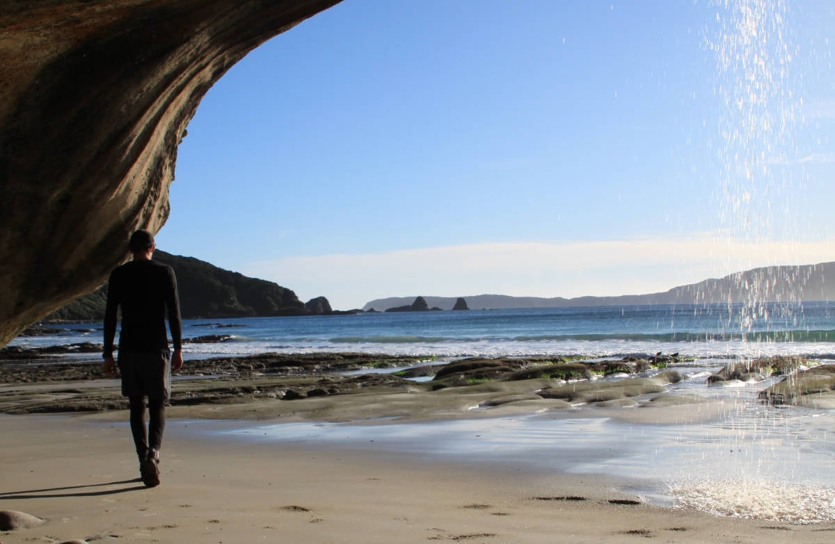 Chalky Island conservation: Our work