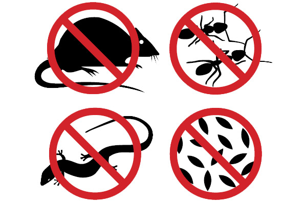 Visiting pest free islands: Know before you go