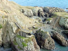 Nature and history of Motutapu Island Recreation Reserve