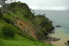 Tapeka Point Historic Reserve: Northland historic conservation