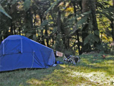 Mangawaiiti Campsite: Whanganui National Park, Whanganui region