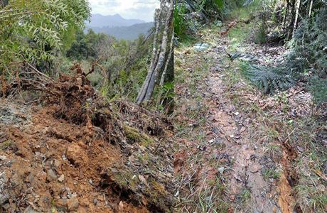 Mangamuka Tramping Track: Raetea Forest, Northland