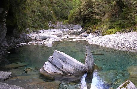 Cameron Valley Track: Mount Aspiring National Park, Otago region