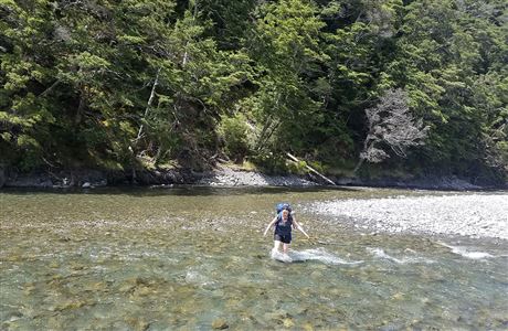 Edwards - Hawdon Route: Walking and tramping in Arthur's Pass National ...