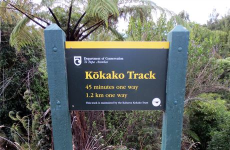 Kaharoa Kokako Track: Rotorua Lakes tracks and walks