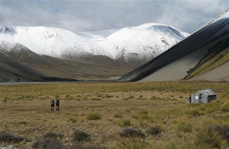 Top Hut: Te Kahui Kaupeka Conservation Park, Canterbury region