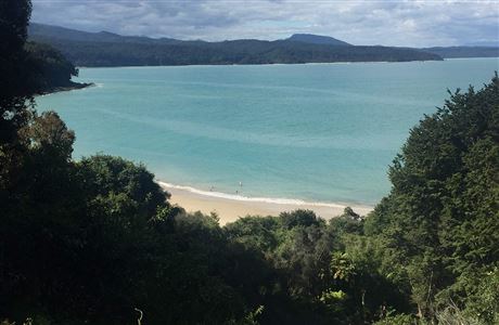 Historic Port Craig Sawmill and Settlement Site: Historic sites in ...