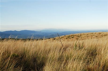 Rangiwahia Hut: Ruahine Forest Park, Manawatu region