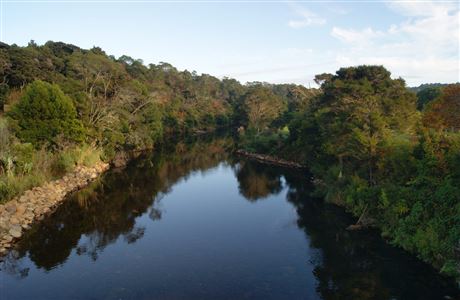 Kerikeri River Track: Kerikeri, Northland region