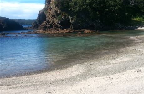 Motuarohia Island Recreation Reserve: Places to go in Northland