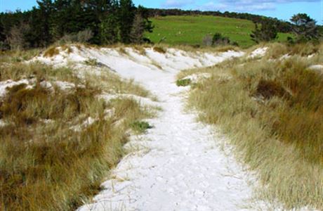 Rarawa Beach Walk: Te Paki, Northland
