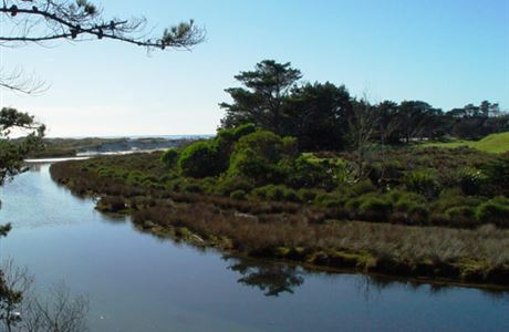 Rarawa beach conservation campsite: Paxton Point Conservation Area ...