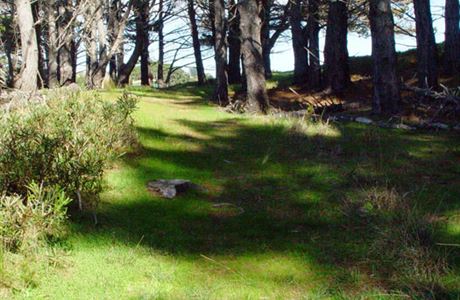 Rarawa Beach Walk: Te Paki, Northland