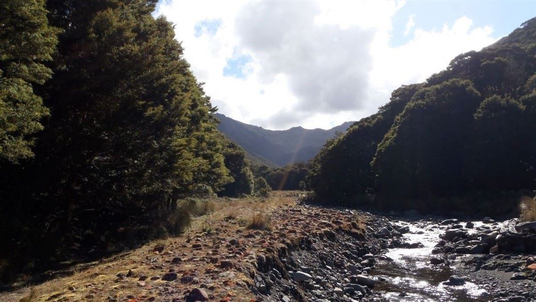 Upper Aparima/Spence Burn Route: Takitimu Conservation Area, Southland