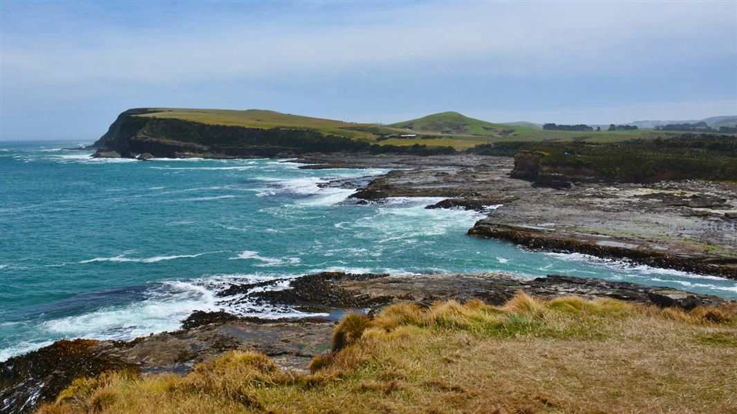 Curio Bay/Porpoise Bay: Catlins coastal area