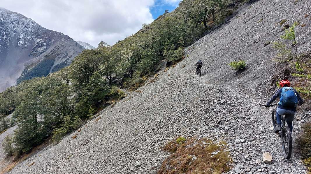 Craigieburn Edge Track: Walking and tramping in Craigiburn Forest Park ...