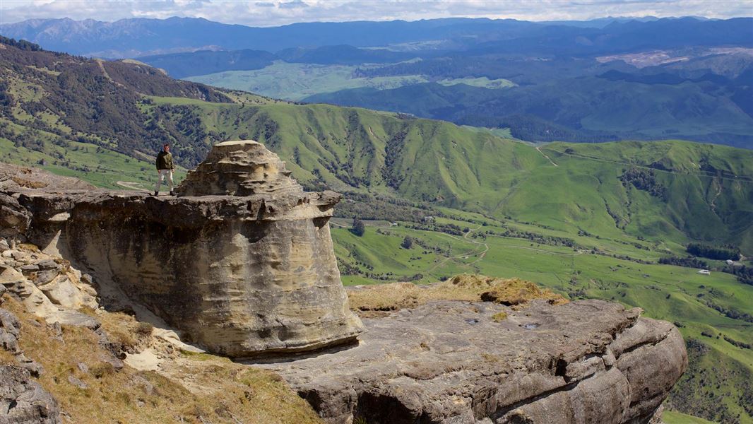 Bell Rock Loop Track: Boundary Stream area, Hawke's Bay region