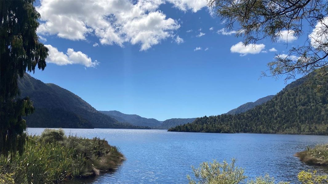 Lake Ellery Track: Jackson Bay - Gorge River area, West Coast region