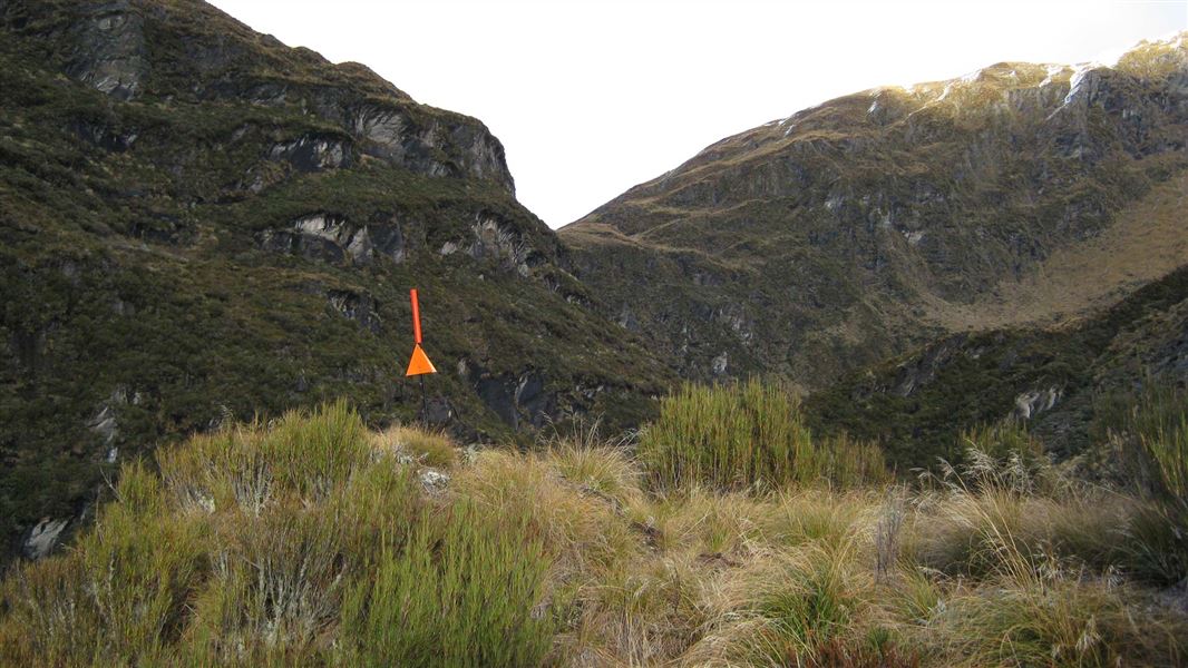 Albert Burn Conservation Area: Places to go in Otago