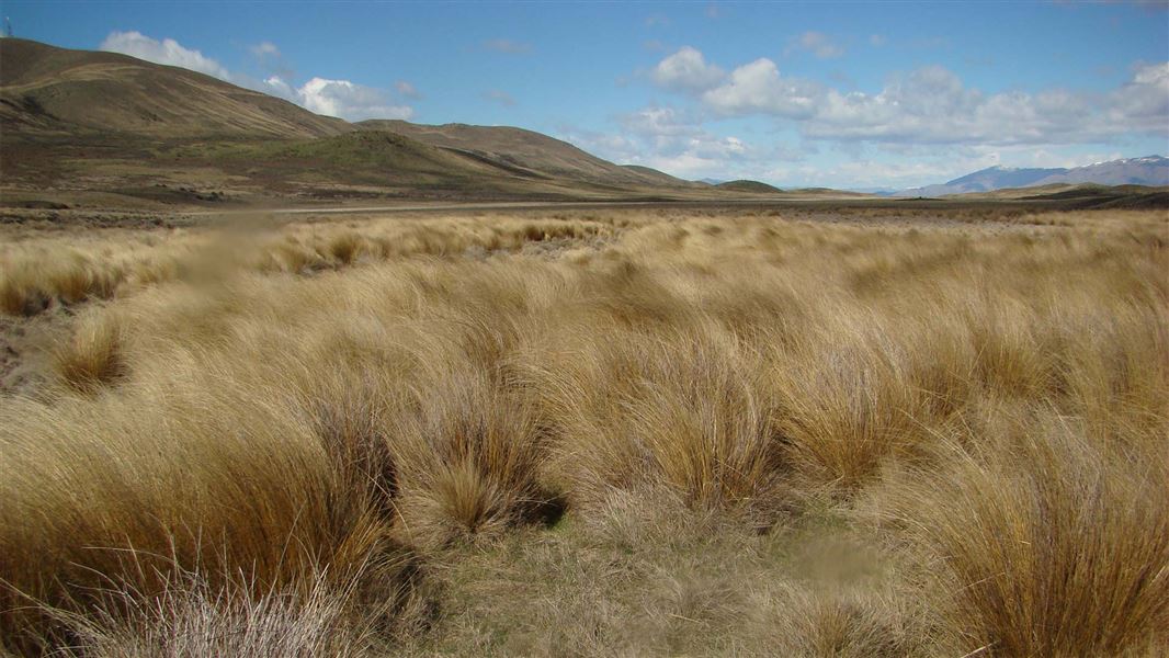 Pylon Track: Twizel area