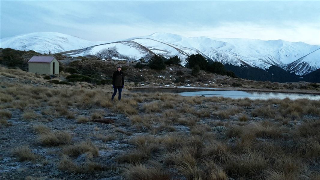 Tarn Hut: Puketeraki Forest Conservation Area, Canterbury region