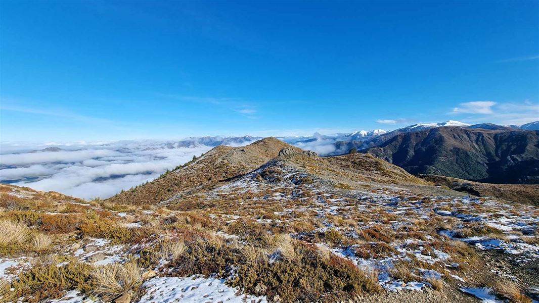 Jacks Pass Track to Mt Isobel: Hike in Hanmer Springs area, Canterbury