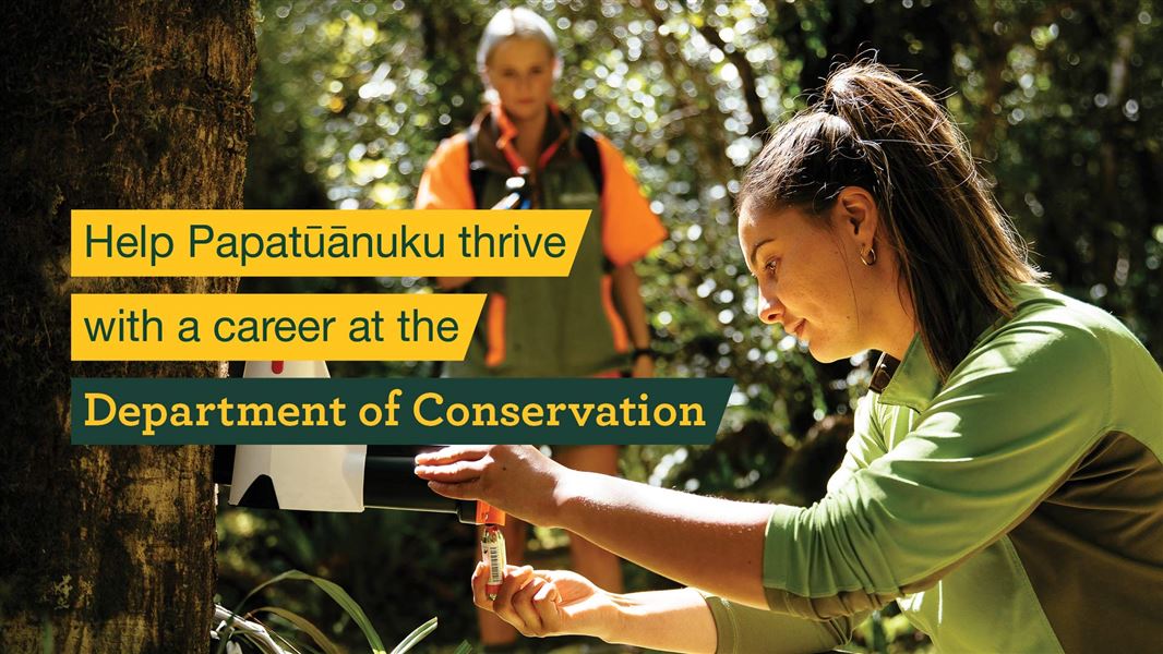 Careers: Jobs at DOC