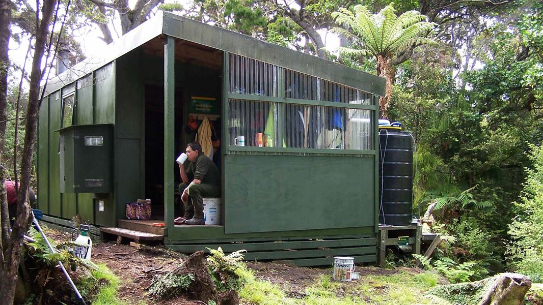 South Pegasus Hunters Hut: Rakiura National Park: Southland region