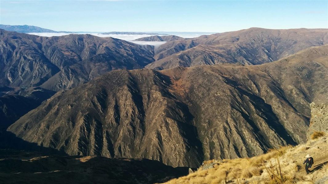 Mt Rosa Track: Remarkables Conservation Area, Otago region