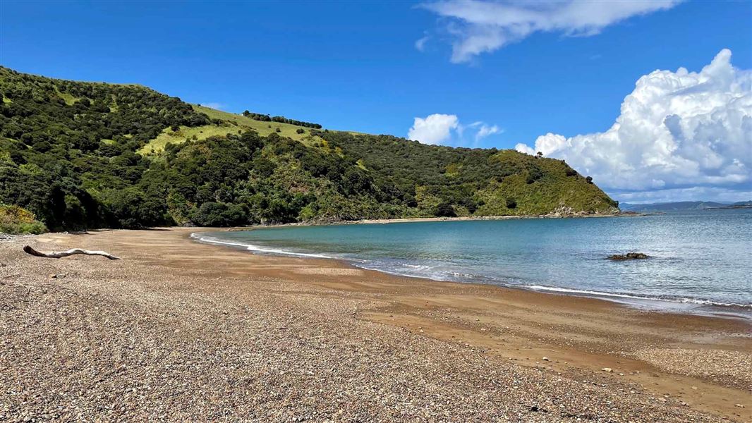 Marsden Cross Track: Kerikeri, Northland