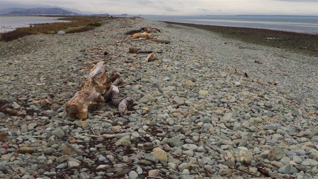 Nelson Boulder Bank: Nelson area, Nelson/Tasman region