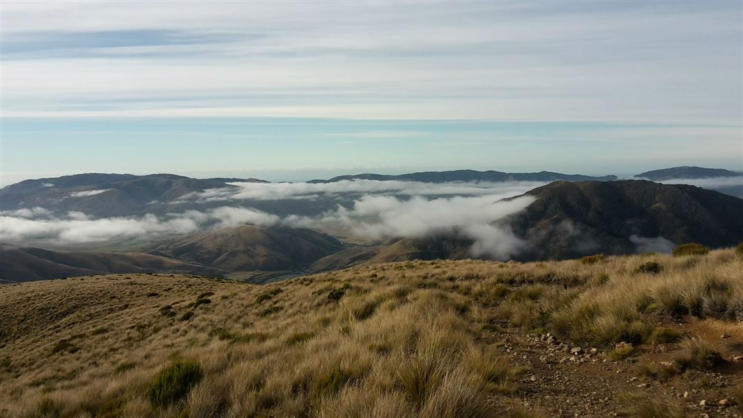 Tarn Hut tracks: Walking and tramping in Puketeraki Forest Conservation ...