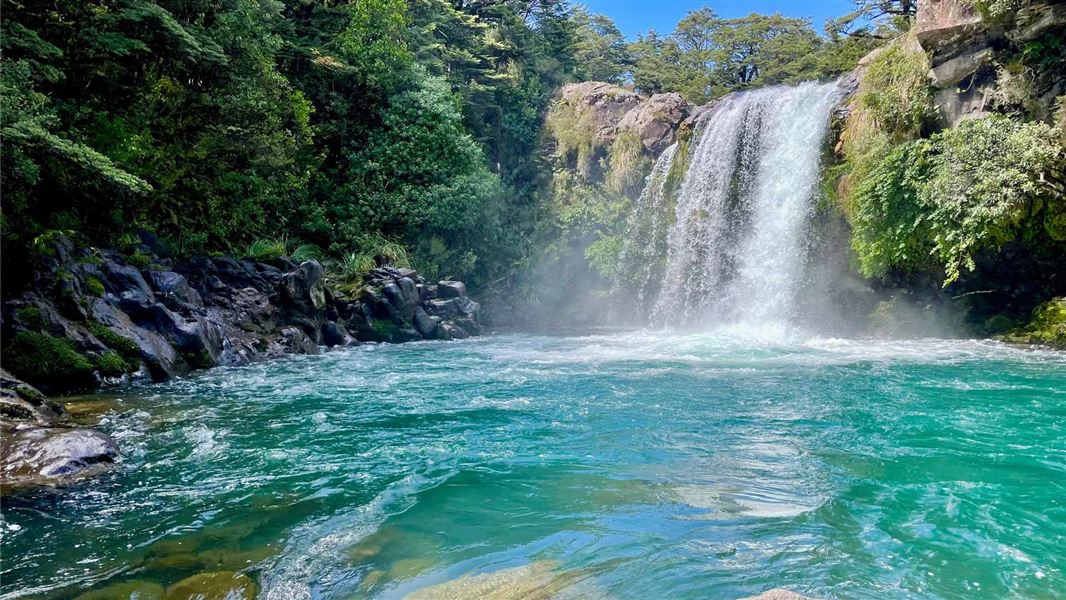 Tawhai Falls Track: Tongariro National Park, Central North Island region