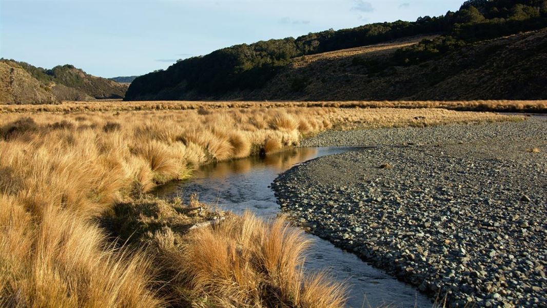 Aparima Hut to Princhester Saddle Track: Takitimu Conservation Area, Southland